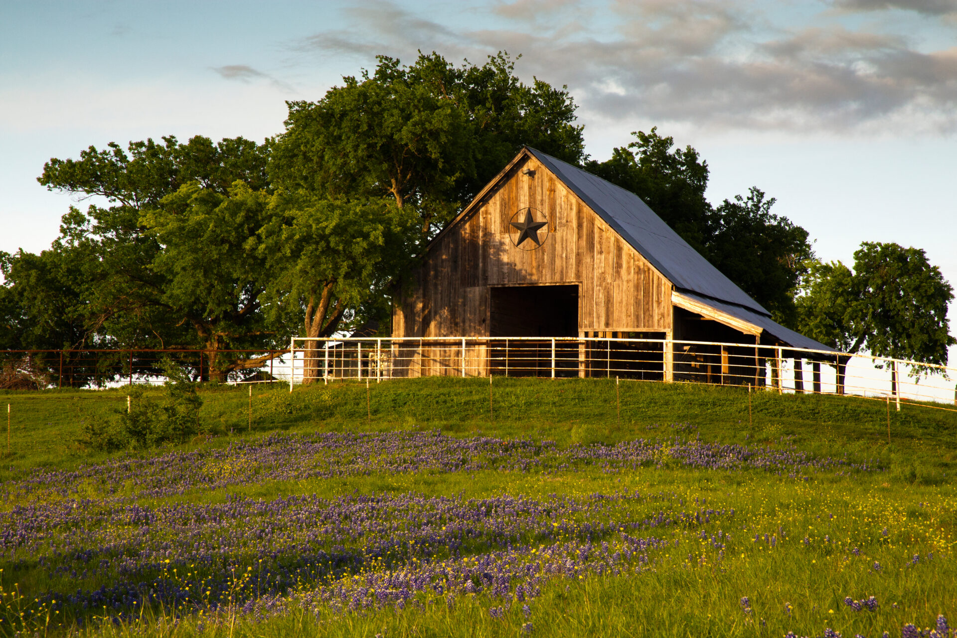 Resources | Tax Exemptions | Financing | True Texas Ranches